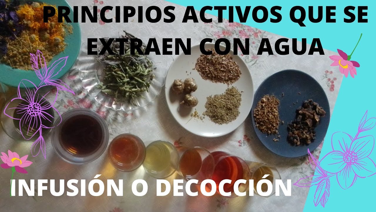 Cómo elaborar una infusión o una decocción de flores, semillas, hojas, raíces, cortezas o tallos.