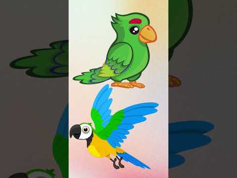 ABC Learning for Kids | Interactive Alphabet Song with Cute Animations | P is for Parrot #abcdsong