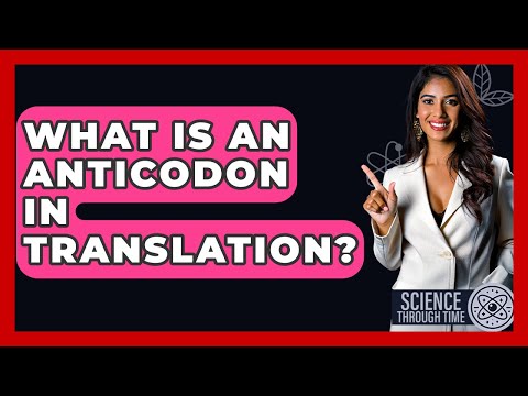 What Is An Anticodon In Translation? - Science Through Time