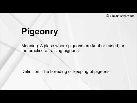 Pigeonry Meaning