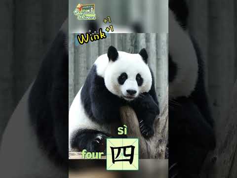 【5-Second Chinese】How to say 1-5 in Chinese? Learn Chinese for beginners with pandas!