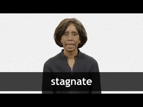 STAGNATE 释义 | 柯林斯英语词典