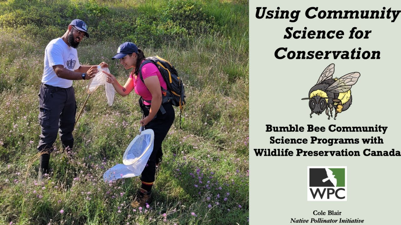 Bumble Bee Learning Module: Introduction to Wildlife Preservation Canada