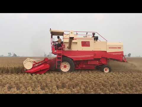 Dasmesh Combine Harvester - Latest Price, Dealers & Retailers in India