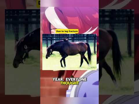 TOKAI TEIO COMEBACK WAS BASED ON REAL HORSE RACING | #shorts #anime #umamusume #animeshorts