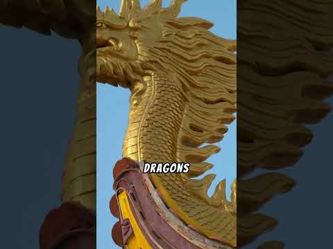 Chinese Dragon Mysteries #facts #history #china