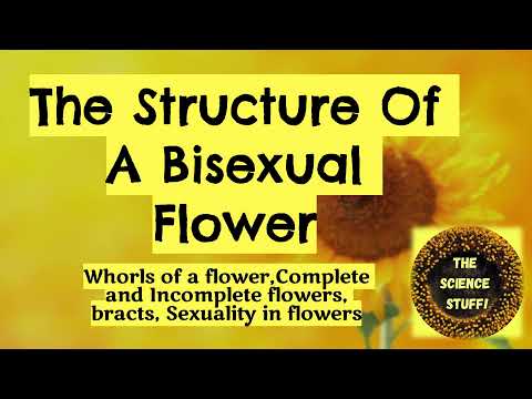 The Structure Of A Bisexual Flower | The Flower | Class 9 | English |