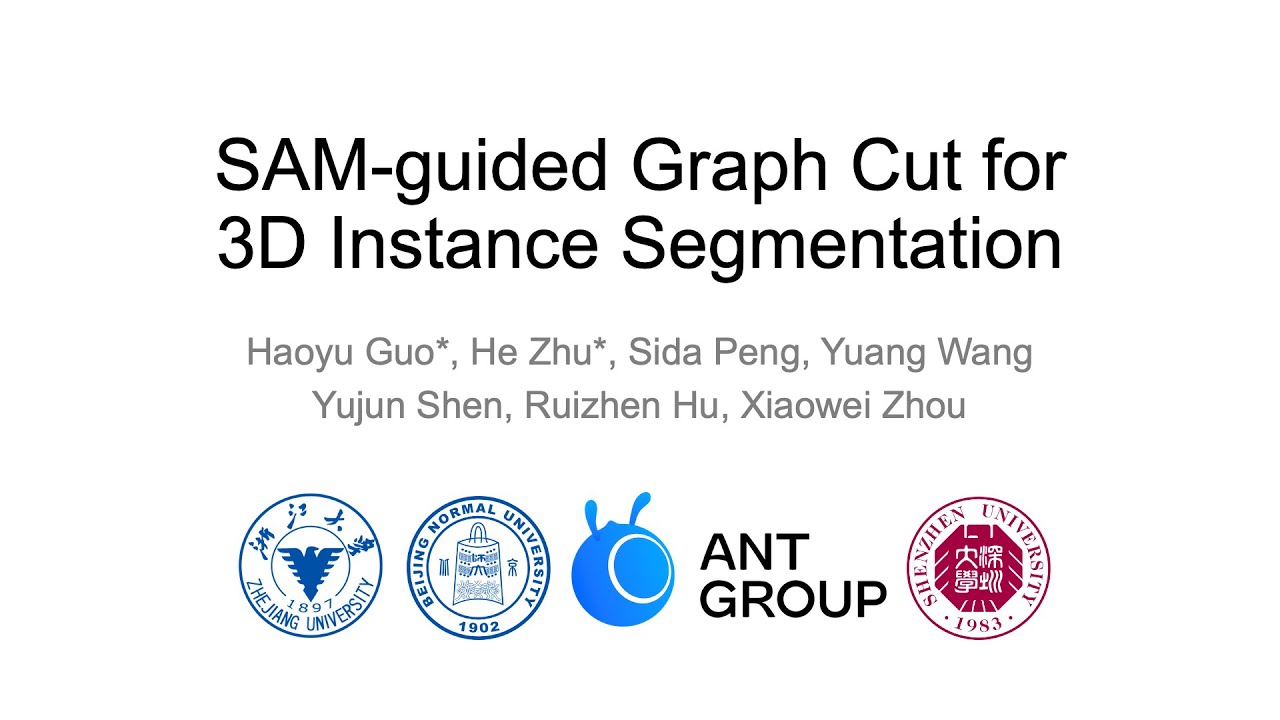 SAM-guided Graph Cut for 3D Instance Segmentation