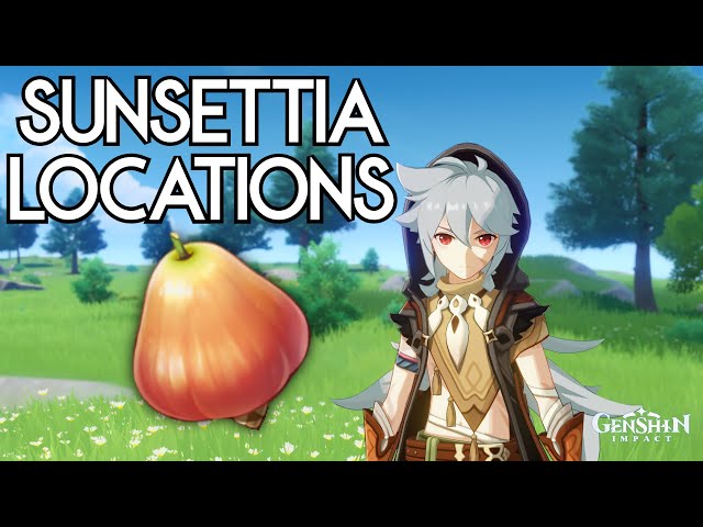 Genshin Impact: Where to find Berries and Sunsettia for Marvelous ...