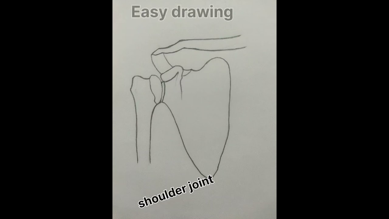 Easy to draw shoulder joint # shoulder
