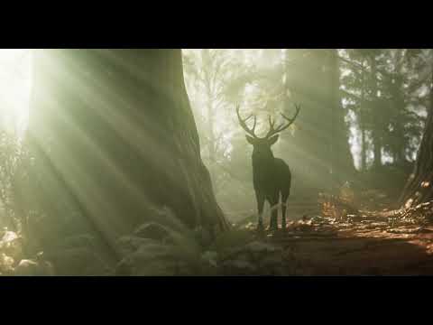 Intro to Evolution, Natural Selection, Artificial Selection, and Sexual Selection