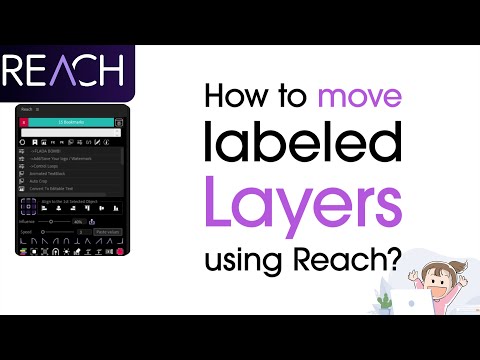 REACH - aescripts.com