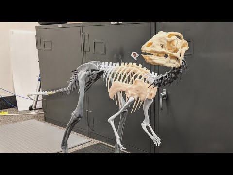 Could the Oryctodromeus be Idaho's next state symbol?