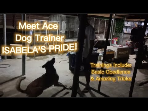 Amaze with Ace / Dog Trainer / ISABELA'S PRIDE/ PART 1/ CrisCon TV /