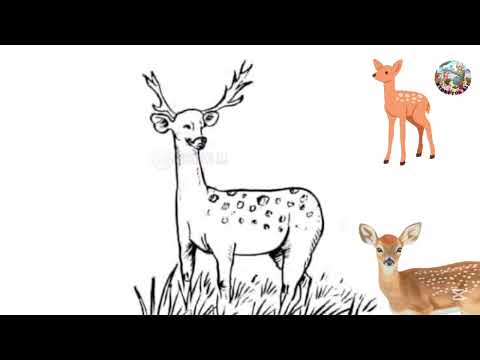 The Lion and the Hunt | Nepali Story In English