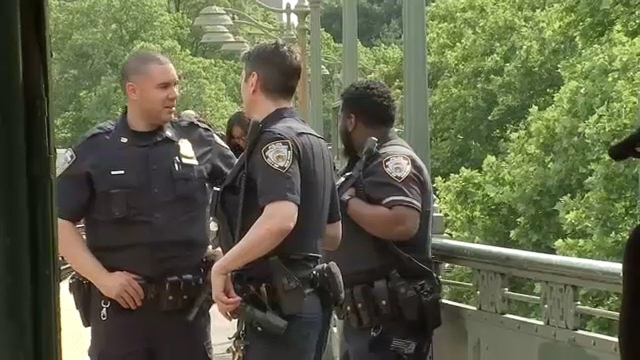 Man stabbed on subway train in the Bronx: police