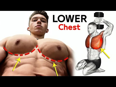Best Lower Chest workout Fast Growth muscles 🎯