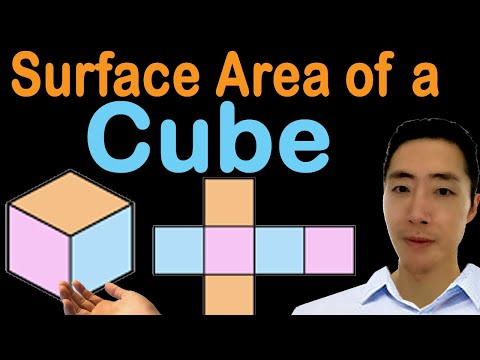 Surface Area of a Cube Explained | Your 24-7 Math Tutor