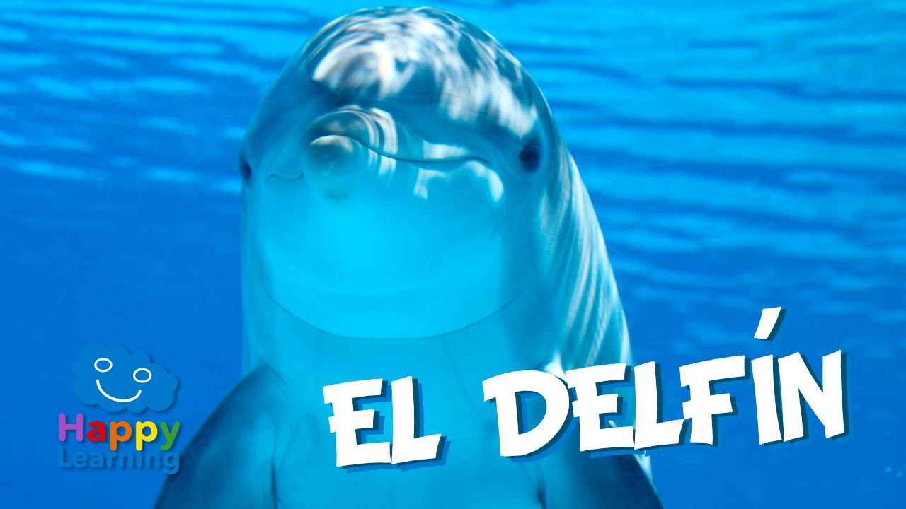 El Delfín | Videos Educativos para Niños
