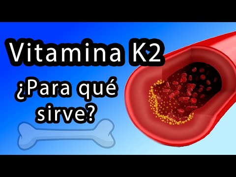 ¿Qué es la Vitamina k2? ¿Qué beneficios aporta la vitamina k2? ¿Qué alimentos contienen Vitamina k2?