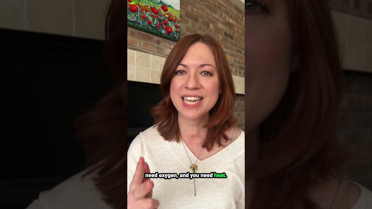 FAHRENHEIT 451 Key Points: Part 1, Section 5 (2 of 2)