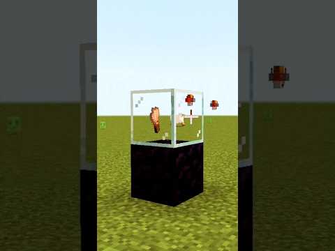 Showcase ????#minecraft #gaming #viral #like #shorts #subscribe #showcase #youtube