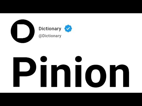 Pinion Meaning In English