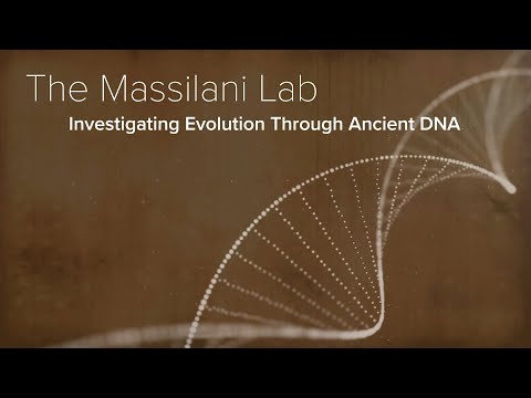 Human Evolution, Genetic Traits, & Ancient DNA - The Massilani Lab at Yale School of Medicine