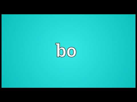 bo meaning in English