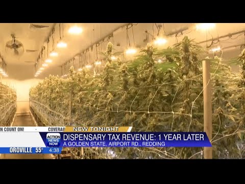 Shasta County cannabis dispensary celebrates first year of business in Redding, City of Redding