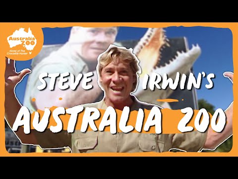 Steve Irwinโs Gift to the World | Australia Zoo Life