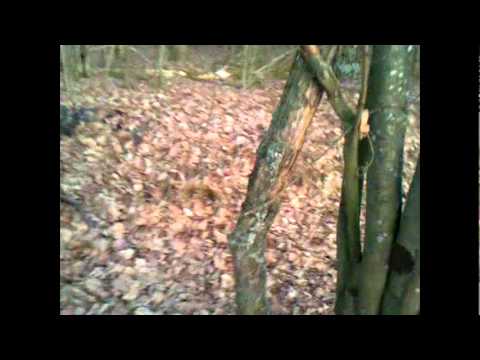 Croatian Trollhunter parody.wmv