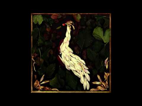 O Happy Fault Lyrics - Audrey Assad