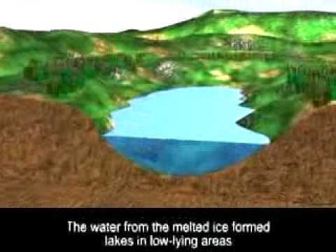 Fen.wmv