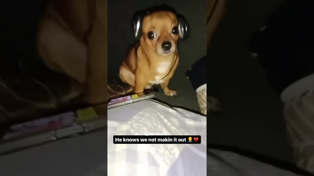 I Made Coco Listen To My Music 🔥