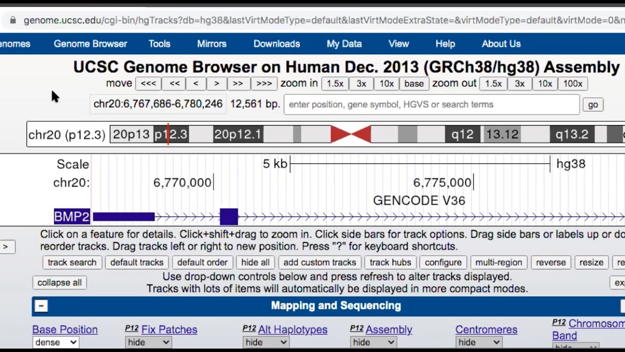 UCSC Genome Browser Tutorial video