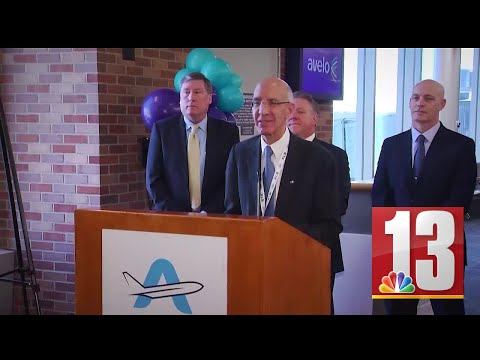 Decision to fire Albany Airport CEO doesn't fly with some
