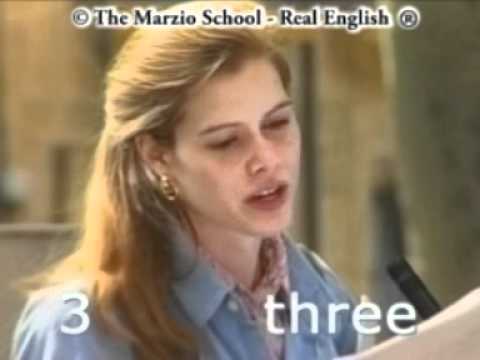 TELLING THE NUMBERS | Level 1 English Blog