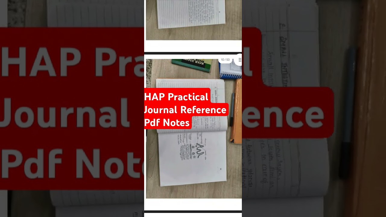 HAP 1 Practical Reference Journal Book PDFs 📚 B PHARMACY 1st Semester ✅ 2024-25 #pharmacy #bpharmacy