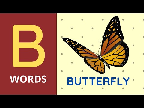 Words That Start With B | 'B' Words | Phonics | Initial Sounds