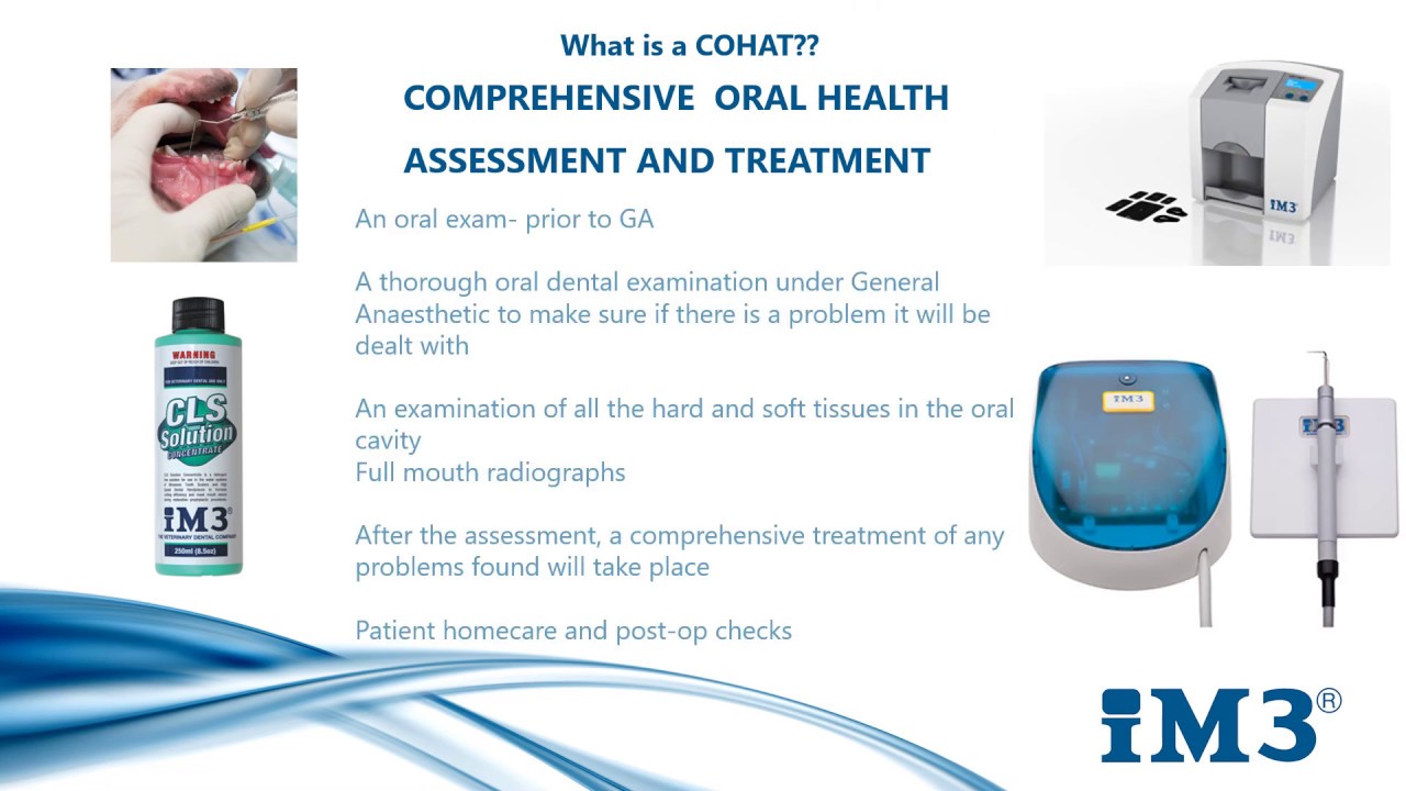 Vet Dentistry for Vet Nurses - 2 - Charting