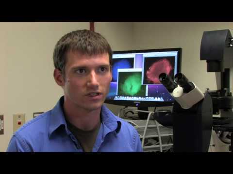 Stem cell researcher Robert Blelloch on Scientist to Watch list #ucsf ...