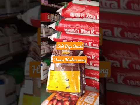Beli baja untuk Kebun sawit