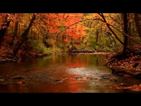fall autumn nature leaves animated HD background for cartoon videos.