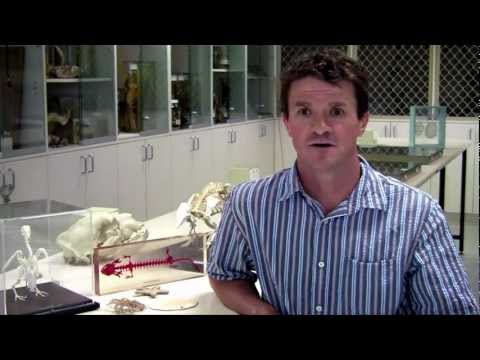 UWA Science majors: Zoology