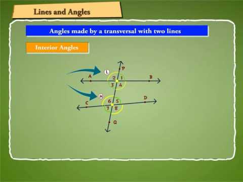 Angles made by a Transversal- 1 Video Lecture - Class 7
