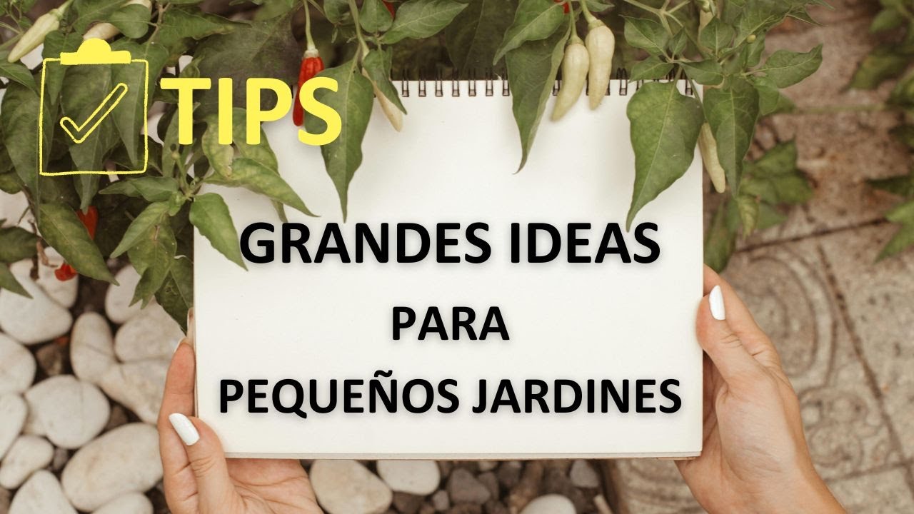 T12l - Big ideas for small gardens. Tips