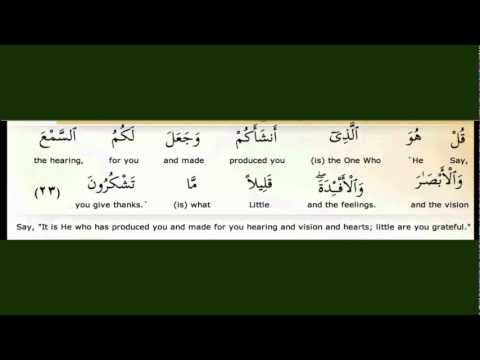 Quran Daily Recital (word by word English translation) HD