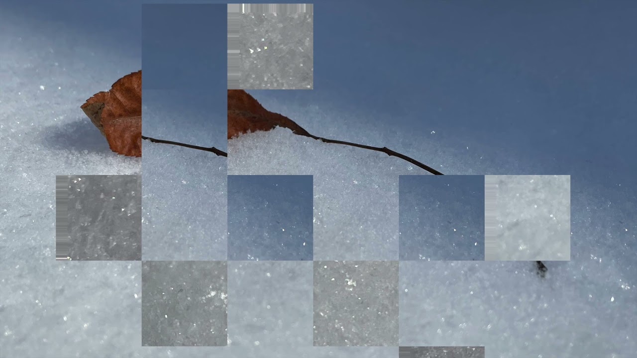 Winter   Mosaic   2022