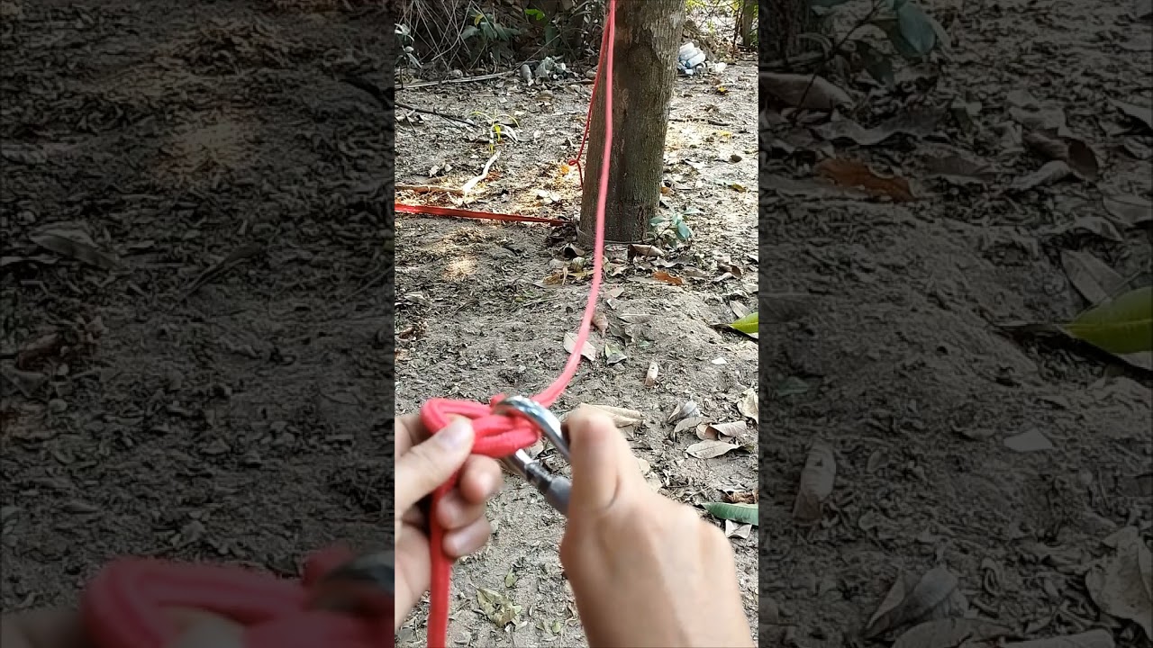 Idea For you Ep248#ropetutorial #knottutorial #diyrope #practical #shorts